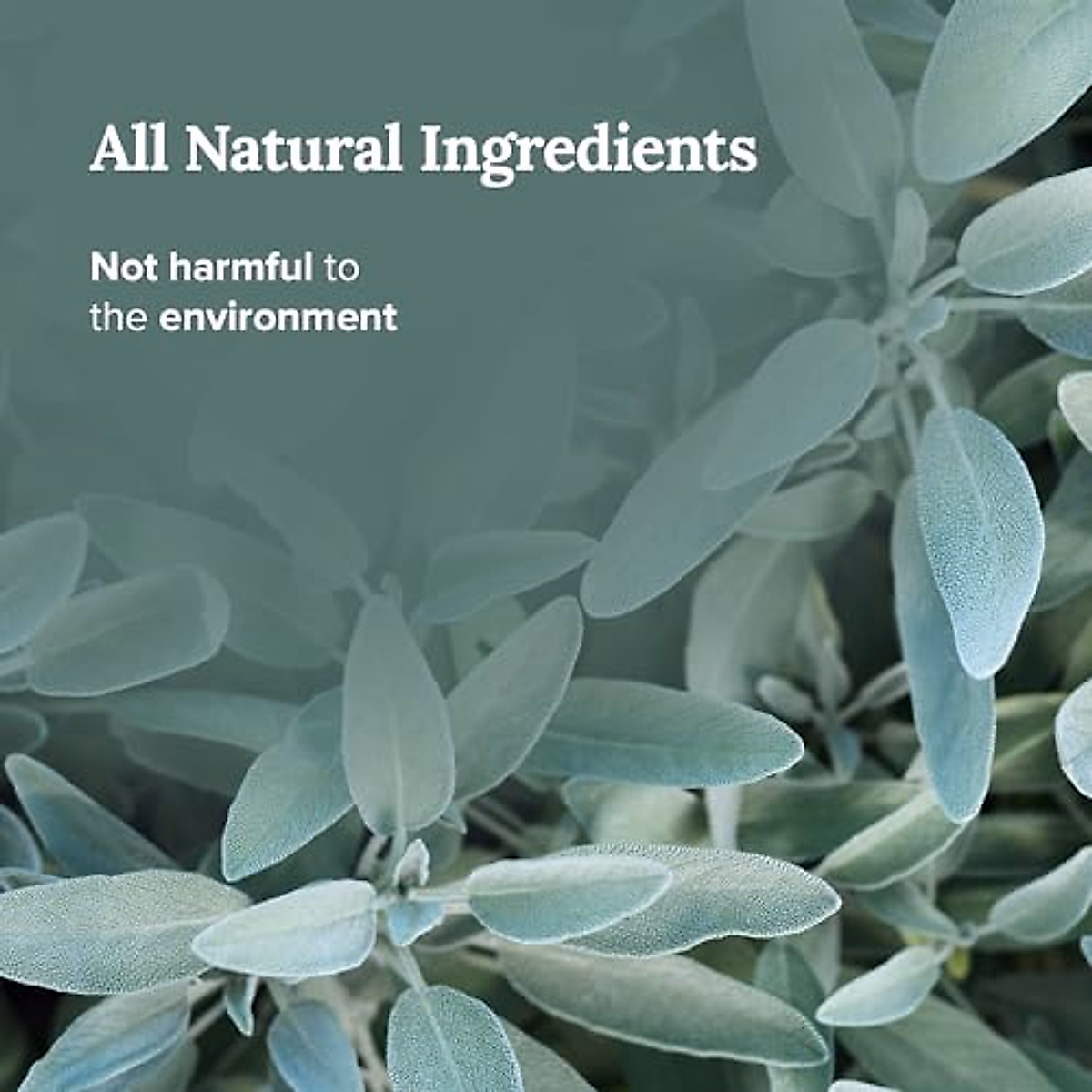 Magnificent 101 Long Lasting Taurus Zodiac Candle | 6 Oz - 35 Hour Burn | Peach Vanilla Scented Soy Wax Candle | Harness The Power of Astrological Signs to Find Your Strength