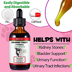Urinary Tract for Dogs, Natural Dog Urinary Tract Infection Treatment Drops - Supports Bladder, Kidney Stone, Dog UTI, Pet Supplement Renal Health Care Drops, Bacon Flavor - 60ml / 2.02oz