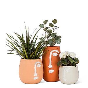 Abbott Collection 27-Picasso-XLG Extra Large Half Face Planter/Vase, Orange