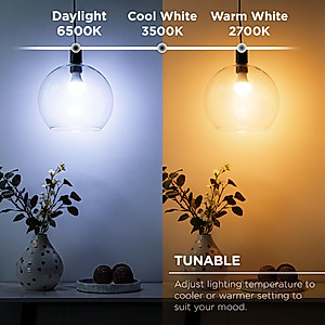 Merkury Smart Light Bulbs, 800 Lumen, WiFi RGBWW Color Changing LED Bulbs, Compatible with Alexa & Google Home, Dimmable Multicolor A19 Bulbs, No Hub Required, 6-Pack