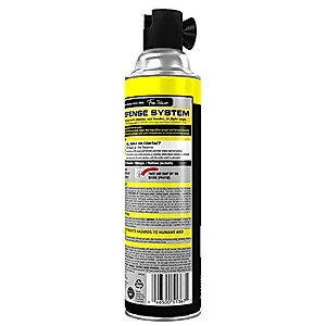 Raid Wasp and Hornet Spray- 17.5 ounces - 3 Pack