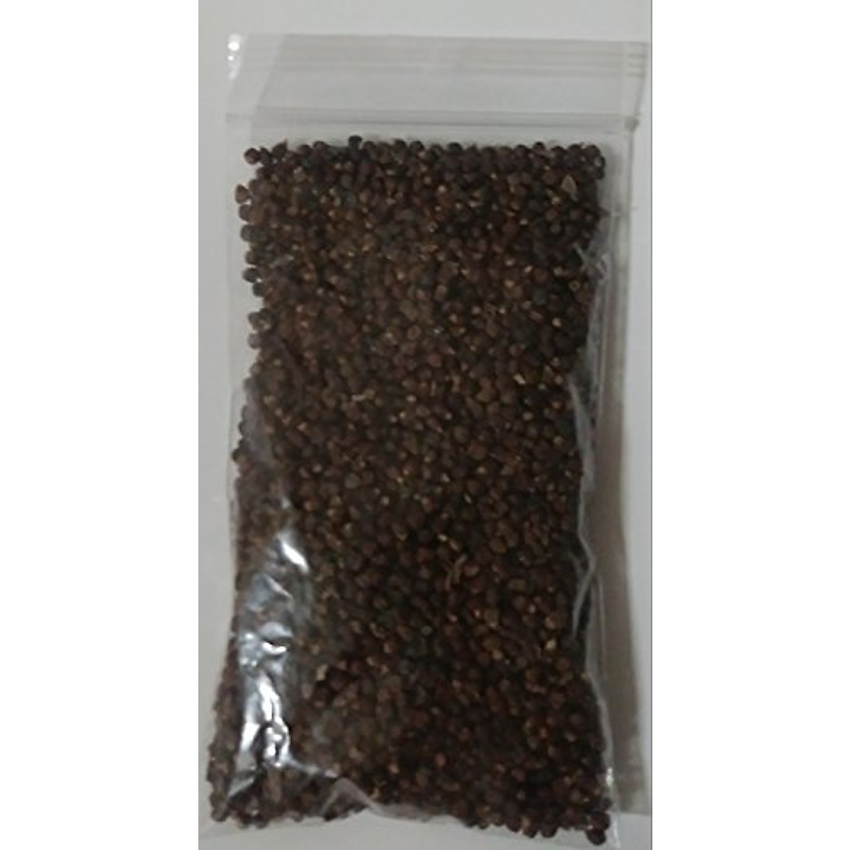 Pimienta de Guinea africana Guinea pepper grain of paradise seeds atare genuine quality
