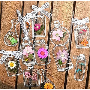 Dried Flower Bookmarks Set, DIY Bookmarks, Transparent Dried Flower Bookmarks, Beautiful DIY Dried Flower Bookmark, Flower Bookmarks Maker (A)