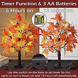 SURCVIO 2 Pack 24 Inch Prelit Fall Maple Tree Fall Decor with 48 LEDs Timer Battery Operated Pinecones Acorns Artificial Autumn Maple Tree for Thanksgiving Harvest Indoor Outdoor Home Decorations