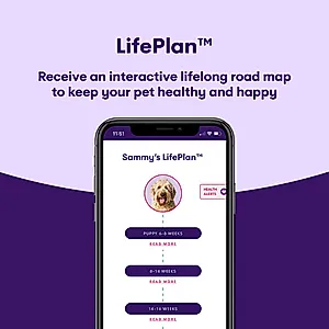 Orivet Dog DNA Test | Comprehensive Dog Breed Test Kit, Genetic Testing and Life Plan GenoPet+ for Canines