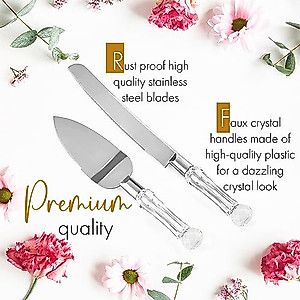 Homi Styles Cake Knife and Server Set | Acrylic Faux Crystal Handles & Premium 420 Stainless Steel Blades | Cake Cutting Set for Wedding Cake, Birthdays, Anniversaries, Parties (Crystal Silver)