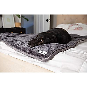 Pet Parents Pawtect Blanket, Premium Waterproof Cat & Dog Blanket with WickQuick & Sherpup Technology, Puppy Blanket, Waterproof Dog Blanket, Blankets for Dogs, Cat Blanket Slate 32x40