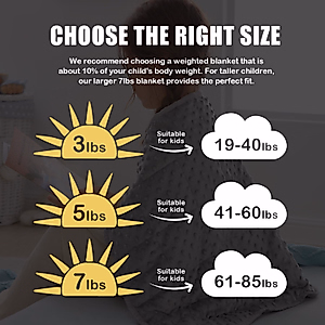 Sivio Weighted Lap Blanket, Minky Dots Weighted Blanket,Soft and Cozy Cooling Heavy Blanket, Calm and Nap, School and Home,2lbs 20 x 30inches, Grey