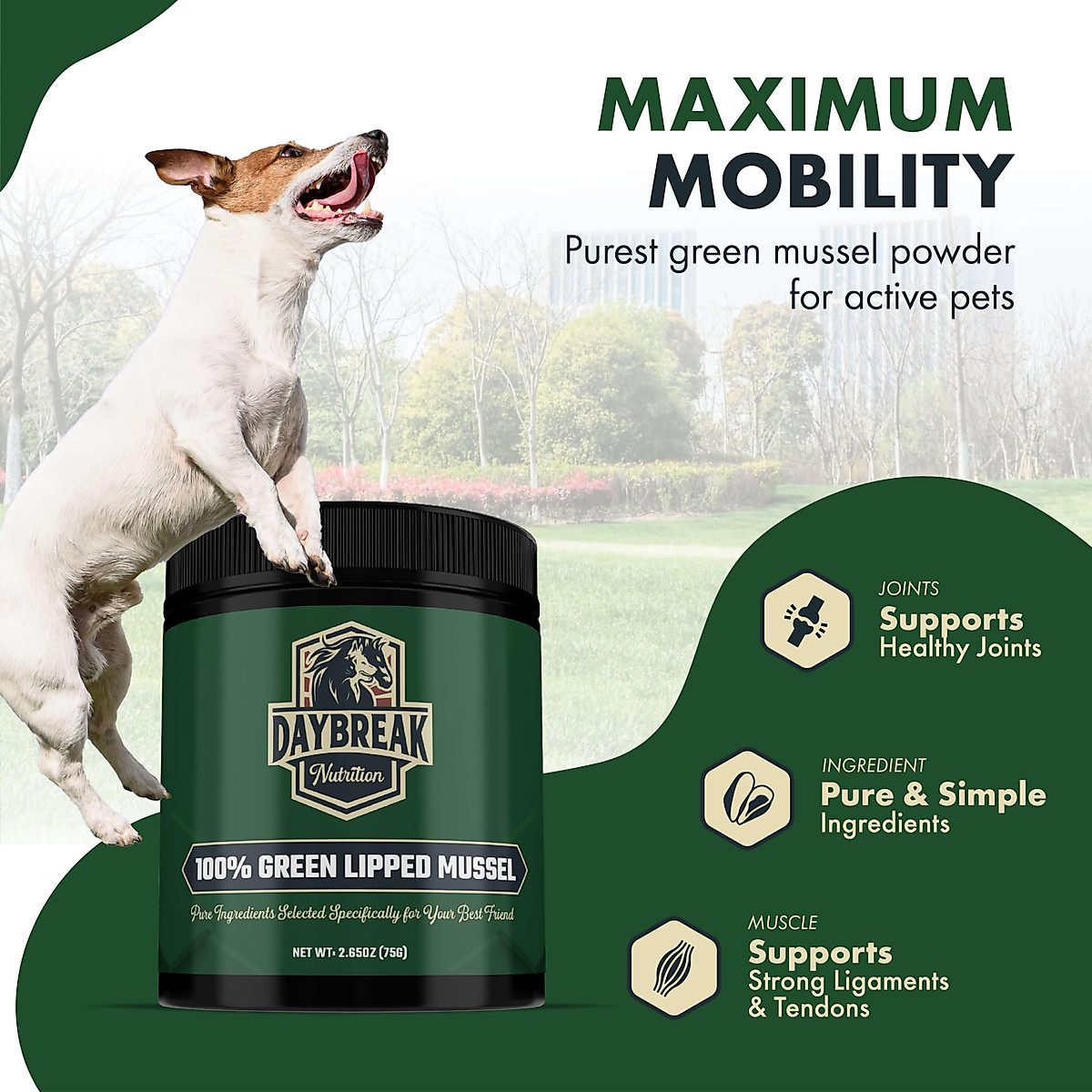 Pure Green Lipped Mussel Powder for Dogs and Cats - 100% New Zealand Green Lipped Mussels - Anti Inflammatory Supplement & Vitamins to Help Your Pet Deal with Arthritis, Joint Pain Relief - 75 Grams