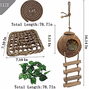 MUYG 5PCS Coconut Hut for Gecko, Lizard Coco Den with Ladder and Reptile Hammock Bearded Dragon Tank Accessories Climbing Hanging Plants Jungle Vine Flexible Reptile Leaves Decor