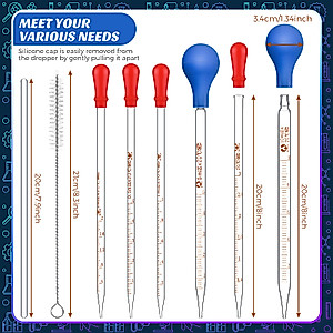 16 Pieces Glass Pipettes Graduated Dropper 2 PCS 10 ml 5 ml 3 ml 2 ml 1 ml 0.5 ml Glass Liquid Dropper with Rubber Caps 2 Pcs 20 cm Glass Stir Rod and 2 Washing Brush for Transfer Liquid Essential Oil