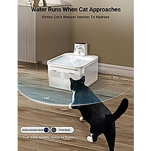 DownyPaws Wireless Cat Water Fountain, Battery Operated Automatic Pet Water Fountain with Motion Sensor, 84oz/2.5L Ultra Quiet Dog Water Dispenser Inside