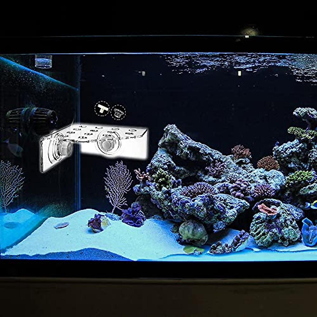 13 Plug Holes Coral Frag Rack Clear Acrylic Coral Holder Aquarium Fish Tank Button Coral Reef Broken Frame Enhanced Suction Cup (2 Pack)