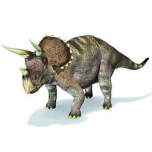 Dino #1, DM301
