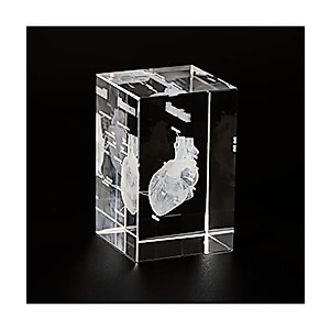 Ultrassist 3D Human Heart Crystal Model, Laser Etched Anatomical Model for Home and Office Decoration, Cardiology Gifts
