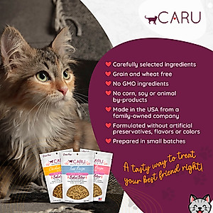 CARU - Soft ‘n Tasty Baked Bites - Chicken Bites Cat Treats - Flavorful All-Natural Treats - 3 oz.