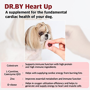 Doctor by HeartUp Heart Care Supplements for Dogs and Puppy – Soft Chews for Dogs with Colostrum, L-Carnitine and Coenzyme Q-10-2.82 oz (80g), 70 Cheese Flavored Soft Chews