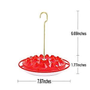 Hummingbird Feeders for Outdoors, Leak Proof, Hanging Bird Feeder for Hummingbirds, with 25 Feeding Ports, Easy to Fill and Clean, Suit for Garden