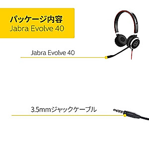 Jabra Evolve 40 Professional Wired Headset, Stereo, MS-Optimized – Telephone Headset for Greater Productivity, Superior Sound for Calls and Music, 3.5mm Jack/USB Connection, All-Day Comfort Design