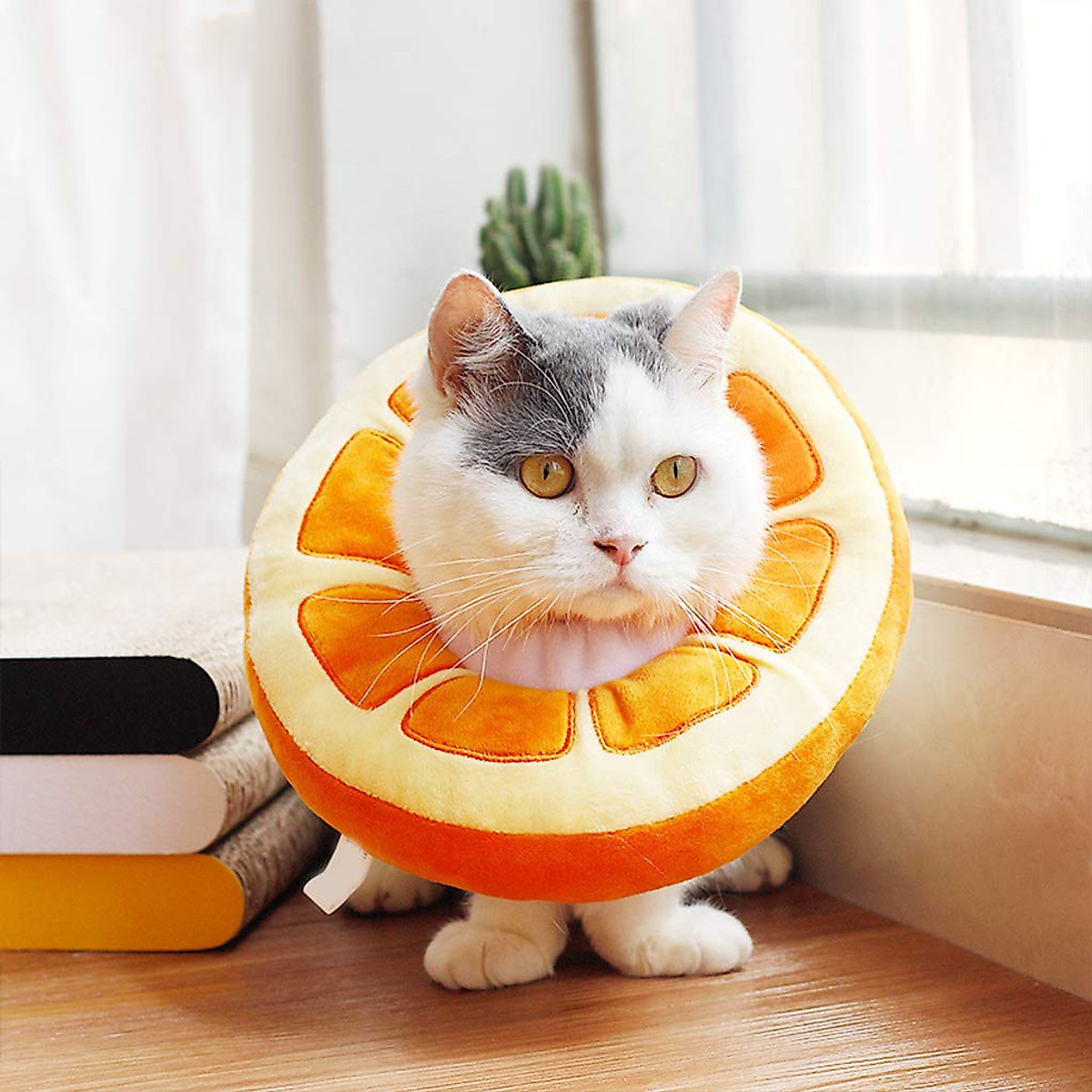staol Fruit Shaped Adjustable Cute Pet Dog for Recovery Collar Puppy Kitten Anti-bite Soft Neck Cone for Protection 1, Pineapple