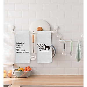 Knibeo Black Lab Kitchen Towels - Labrador Retriever Gifts, Set of 2, 16x24 Inch Lab Tea Towel Kitchen Dish Towel Set, Lab Hand Towels