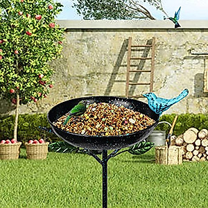 DREAMSOUL Outdoor Garden Bird Bath Metal Bird Baths Cast Iron Birdbath with Metal Stake Tall Bird Bath for Yard Garden Decor(Dia - 9.5inch)