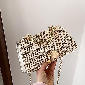 Women Mini Straw Woven Cross-body Bag Chain Strap Shoulder Bag Beach Chain Top-handle Bag