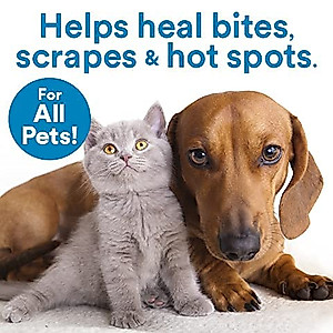 SkinSmart Antimicrobial Skin and Wound Care for Pets, Removes Bacteria to Promote Healing and Relieves Itch, 8 Ounce Spray Bottle
