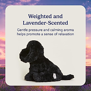 warmies Microwavable & Weighted Stuffed Animals, Black Lab - Heated Stuffed Animal Plushie for Warmth & Comfort - Cute Soft Plush Toys for Adults & Children (Boys, Girls, Babies & Toddlers)