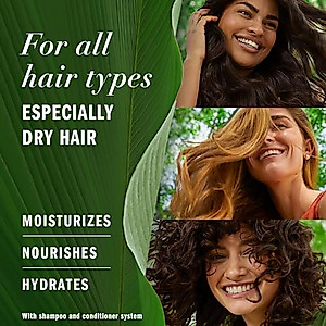 Herbal Essences Bio: Renew Coconut Milk Shampoo, 4 Count