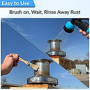 Spotless Stainless Marine Rust Remover and Protectant - 16 Ounce (Pint)