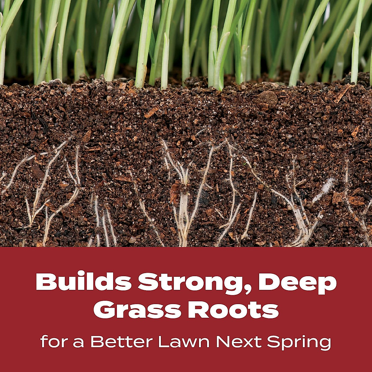 Scotts Turf Builder WinterGuard Fall Lawn Fertilizer for All Grass Types, 4,000 sq. ft., 10 lbs.