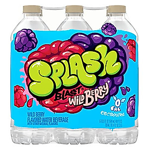 Splash Blast, Flavored Water Beverage, Wild Berry Flavor, 16.9 Fl Oz Plastic Bottles, 6 Pack