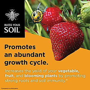 Indoor Outdoor Fertilizer Bundle, 2 Products, Container Plants, Gardens, & Flowers, Water Soluble Plant Foods