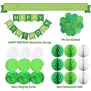 LITAUS, Birthday Decorations, NO DIY - Pack of 20 | Green Happy Birthday Banner, Honeycomb Balls, Swirls, Garland | Happy Birthday Decorations | Birthday Party Decorations