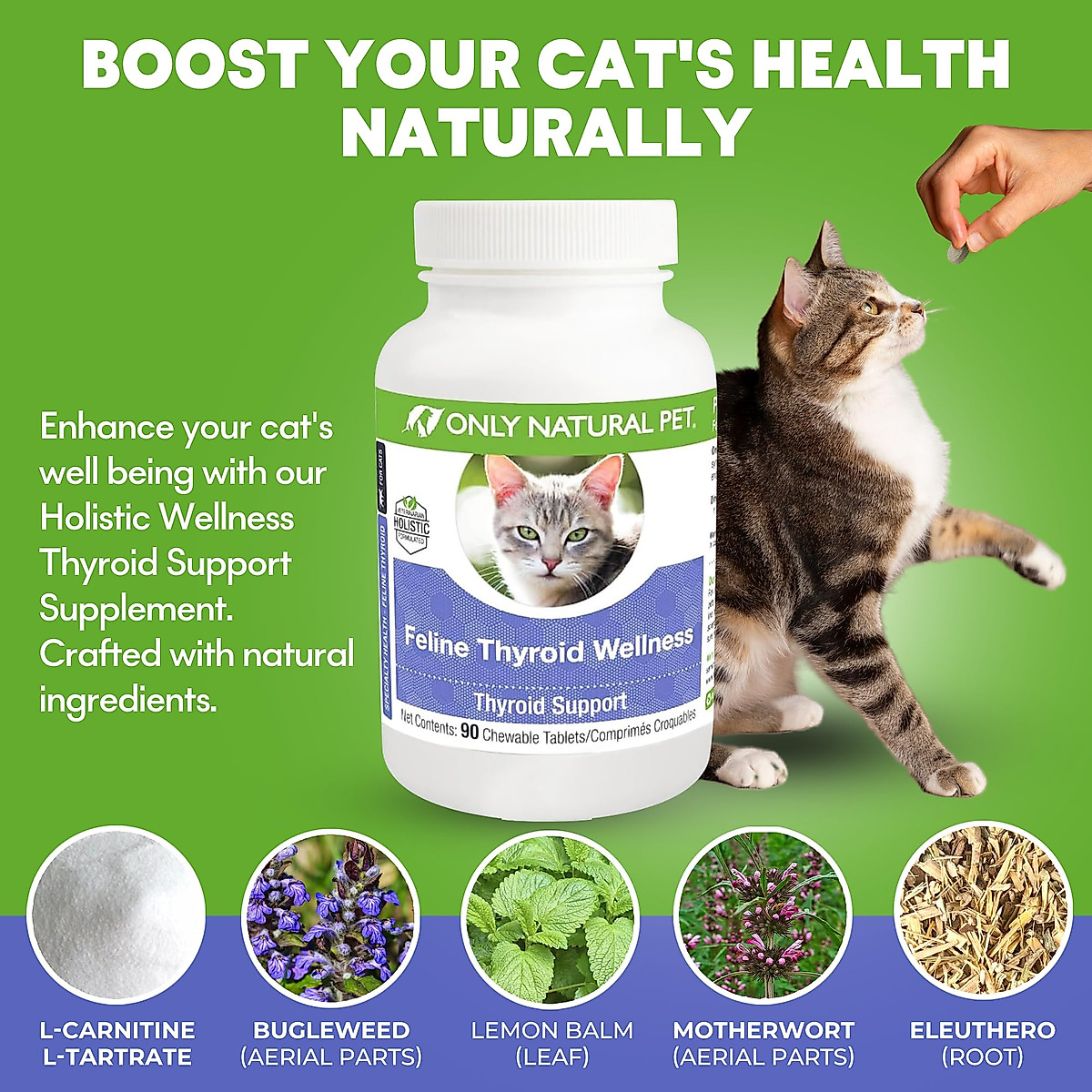 ONLY NATURAL PET Thyroid Support Supplement for Cats - Multivitamin with L-Carnitine & Lemon Balm - Vet Formulated - Helps with Endocrine & Immune Health - Turkey Flavored Chewable - 90 Tablets