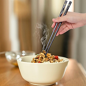 Chopsticks Reusable Chinese Japanese Fiberglass Chopsticks with Holder, Dishwasher Safe, Premium Quality Chopsticks Gift Set(5 pairs)