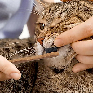 H&H Pets Bamboo Toothbrush Set for Dogs and Cats - Soft Bristles & Biodegradable Wooden Toothbrush, Puppy Supplies, Dog Brush Set, Pet Supplies Dog Grooming Kit Eco-Friendly (Size Small, 3-Count Pack)