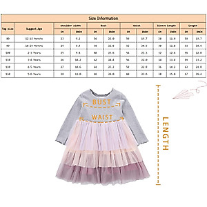 AGQT Baby Girls Tulle Tutu Dress Long Sleeve Multi-Layer Lace Dress Knit Round Neck Casual Dress Christmas Fall Winter Party Dresses Pink-Colorful Size 18-24 Months
