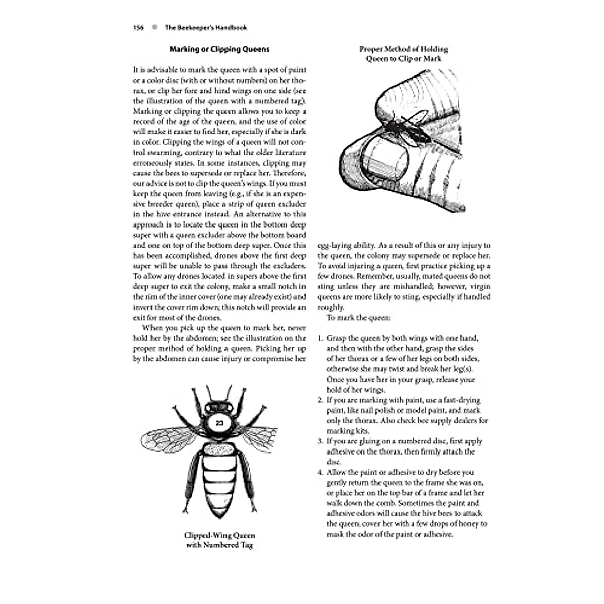 The Beekeeper's Handbook