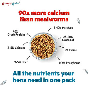 Grumpy Grubs Premium (5lbs) - Superior to Mealworms - Dried Black Solider Fly Larvae Treats for Hens Ducks Wild Birds, Calcium Rich and Healthy High Protein Chicken Treats