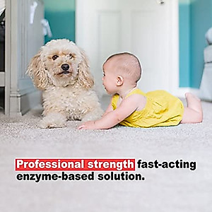 Urine Gone Stain & Odor Eliminator: Professional Strength Fast-Acting Enzyme-Based Solution, Instantly Penetrates and Neutralizes into the Fibers of a Carpet, Stops Pets from Remarking