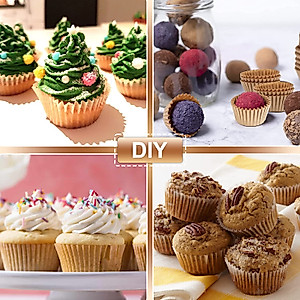 Cupcake Liners, 600 Count Cupcake Wrappers, Cupcake Paper Baking Cups for Cake, Muffins, Candies (Natural Color)