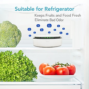 Portable Ozone & Ionic Air Purifier 2 in 1, Rechargeable, Purifying Air and Eliminate Odor