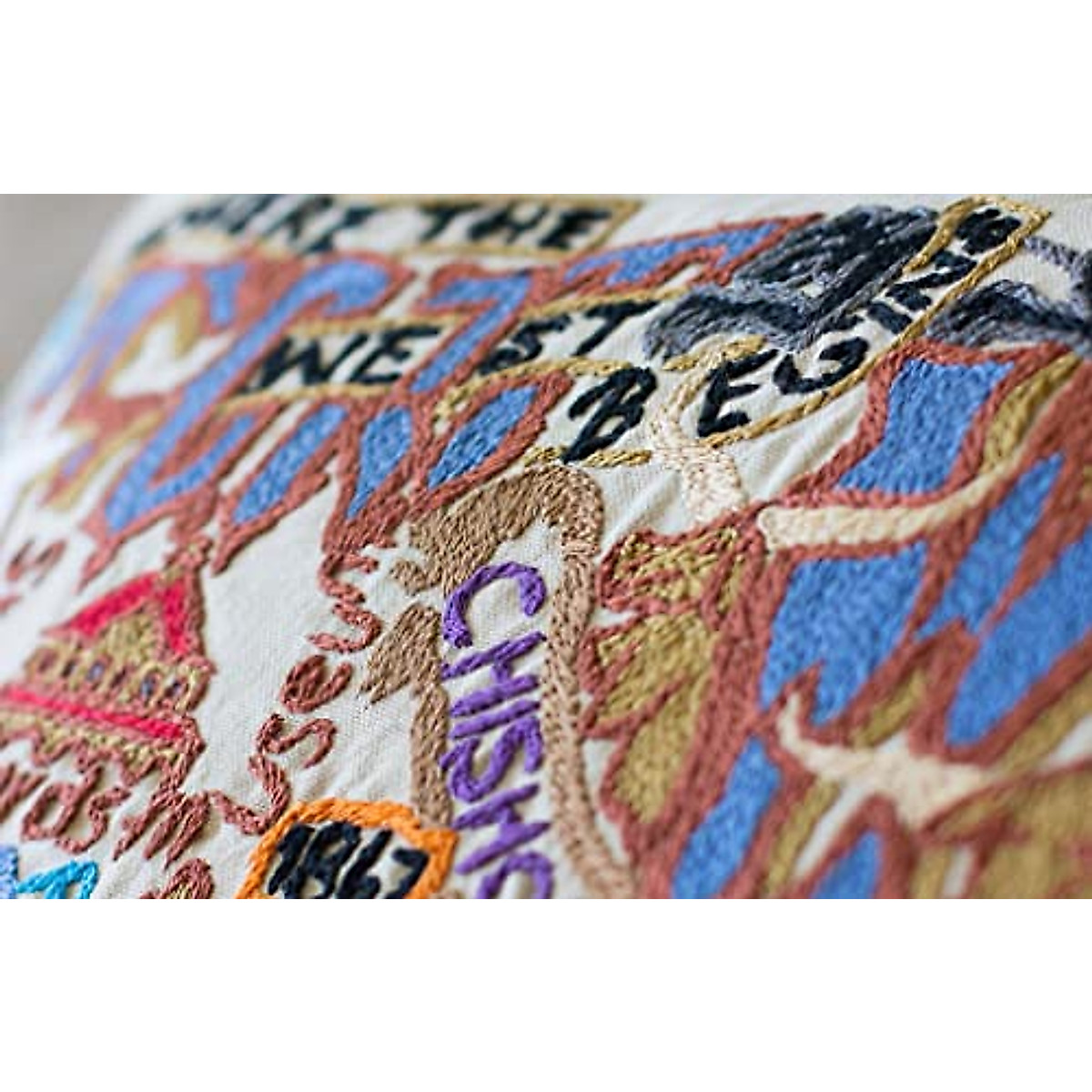 Catstudio Fort Worth Embroidered Decorative Throw Pillow