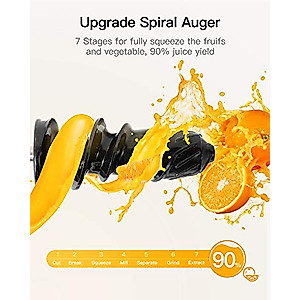 Juicer Machine, Slow Masticating Juicer with 2 Speed Modes & Reverse Function, Easy to Clean Juicer BPA-Free Cold Press Juicer with Quiet Motor, Includes Cleaning Brush & Recipes for Vegetables and Fruits