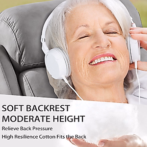 cinkehome Power Lift Recliners Chair for Elderly, Small Electric Power Recliner Chair for Seniors with Remote, Power Recliners on Clearance, Lift Chairs Indoor