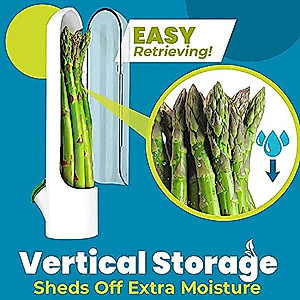 YXYYW Herb Saver Best Keeper for Freshest Produce, Lasting Refrigerator Herb Keeper, Containers, Clear Herb Savor Pod, Herb Storage Container for Cilantro Mint Asparagus (2PCS)