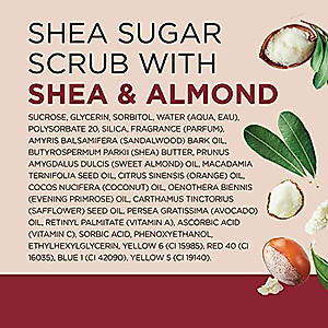 Dr Teal's Shea Sugar Body Scrub, Coconut Oil with Essential Oils, 19 oz (Pack of 3)