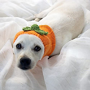 cyeollo Dog Pumpkin Costume Funny Dog Snood Knitted No Flap Ear Wrap Hood for Pets Small Dog Halloween Costumes